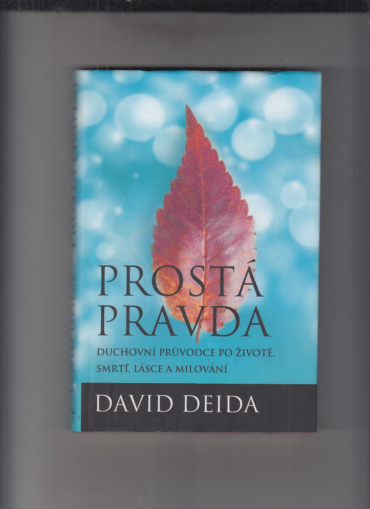 Deida David - Prostá pravda (duchovní průvodce po životě, smrti, lásce ...
